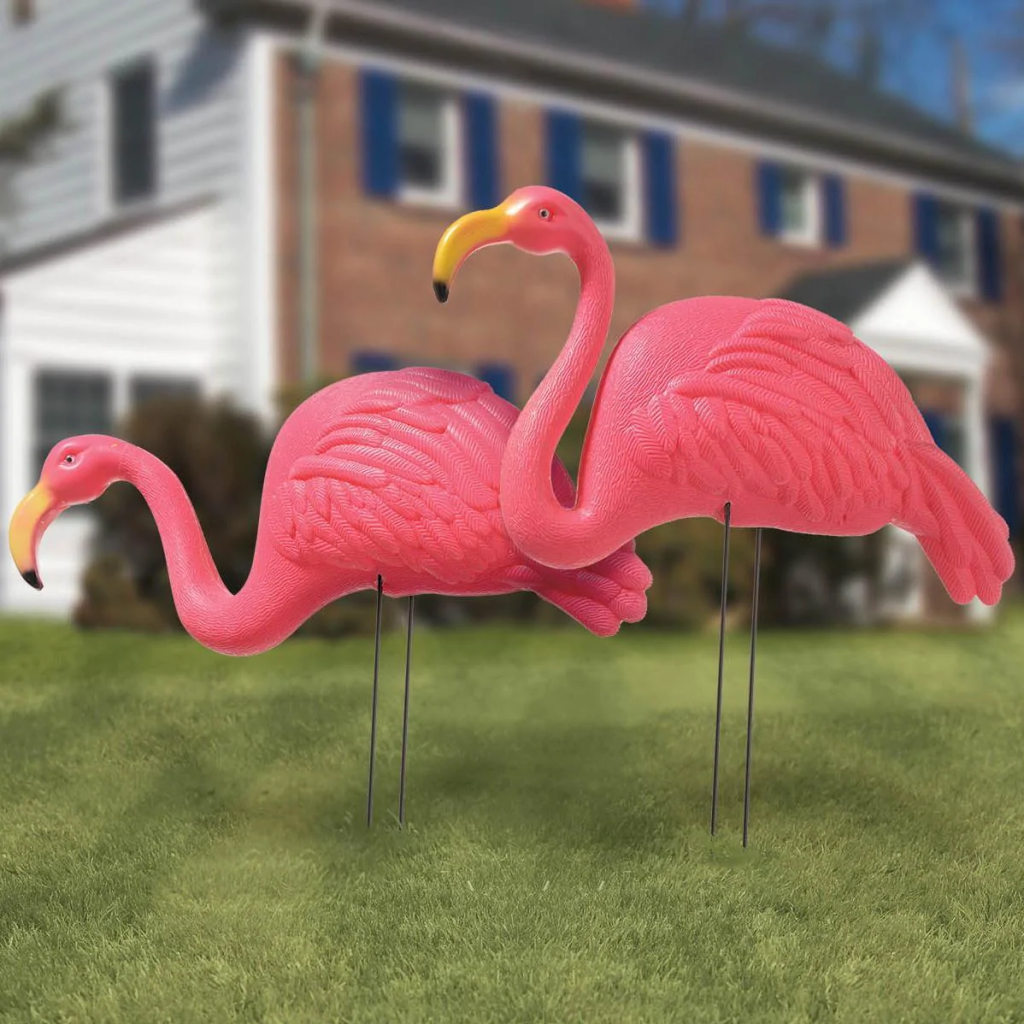 Flamingo Rental | Kerry's Party For Less
